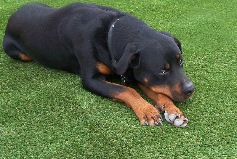 Gallery – Pavingworld